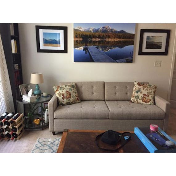 Eliot Sleeper Sofa Joybird